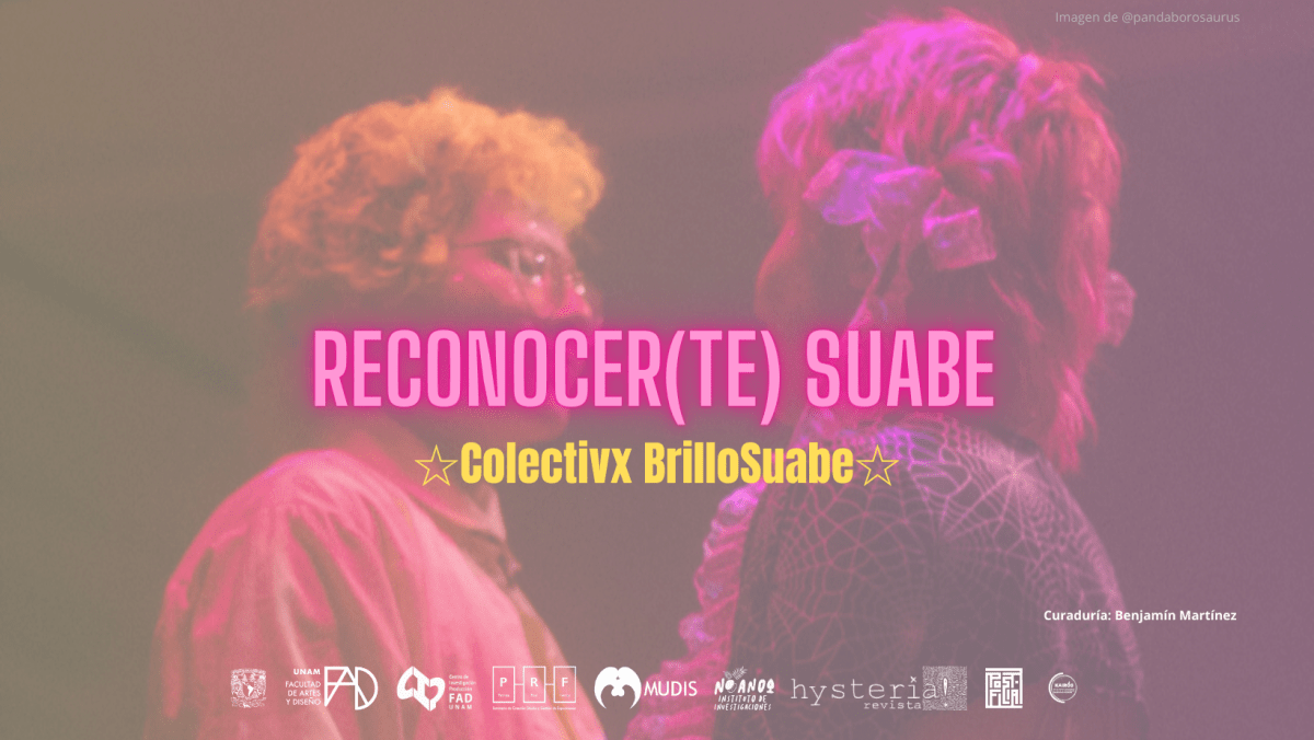 Reconocer(te) Suabe – Museo Digital de la Insurrección Sexual